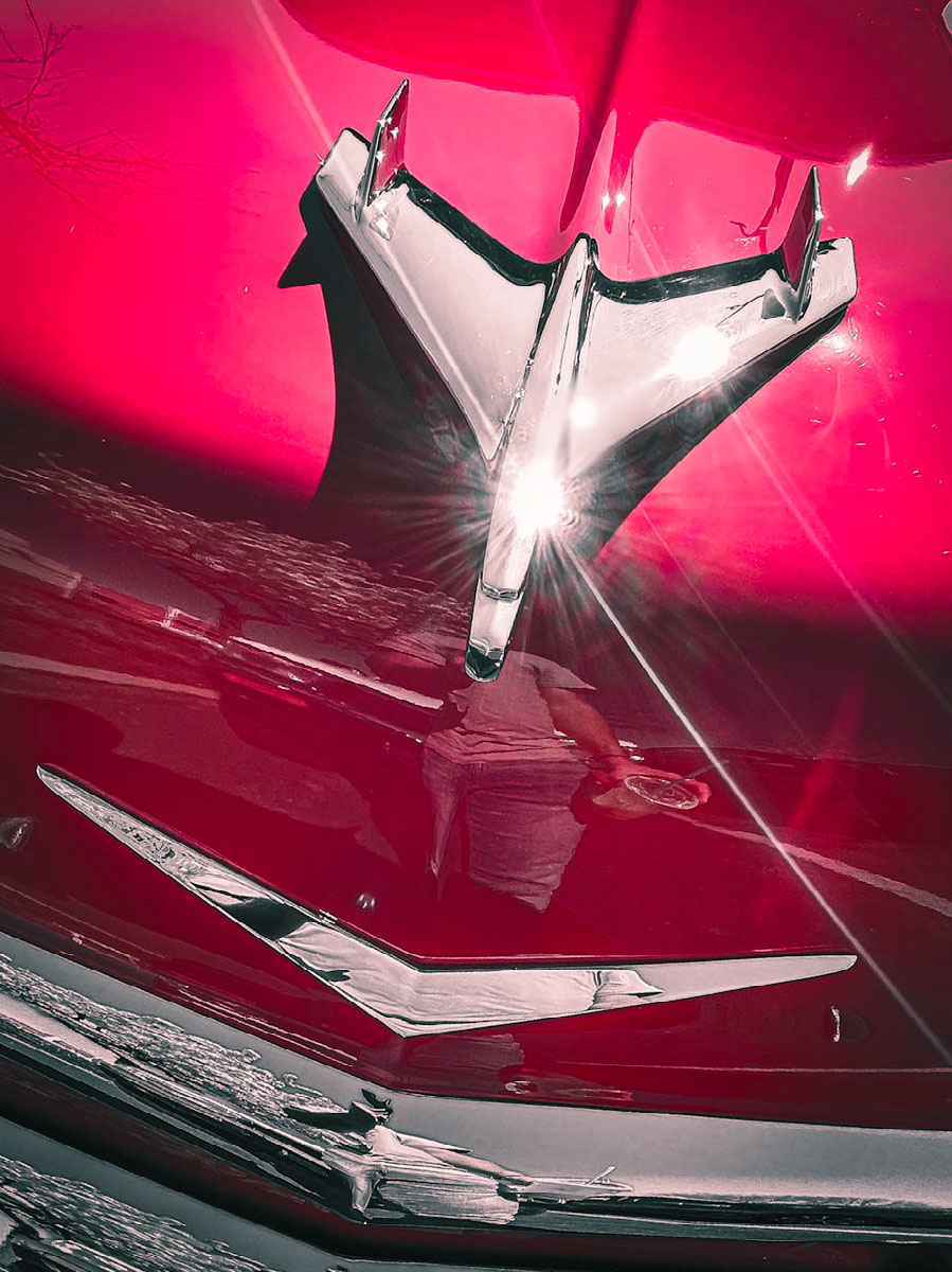 Impala wings | Edit | Photoshop Lightroom
