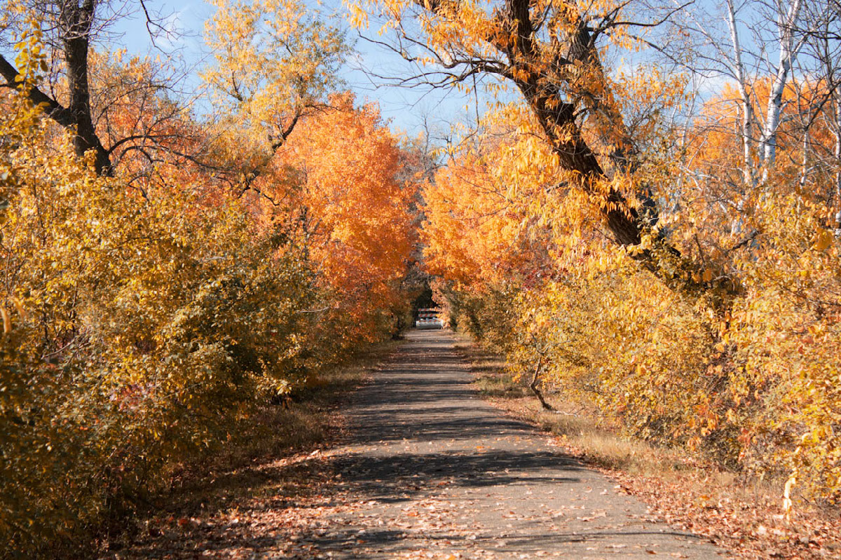 Orange Walkway | Edit | Photoshop Lightroom