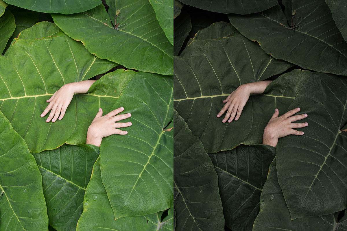 Interpreting Images with Tone & Color | Tutorial | Adobe Lightroom