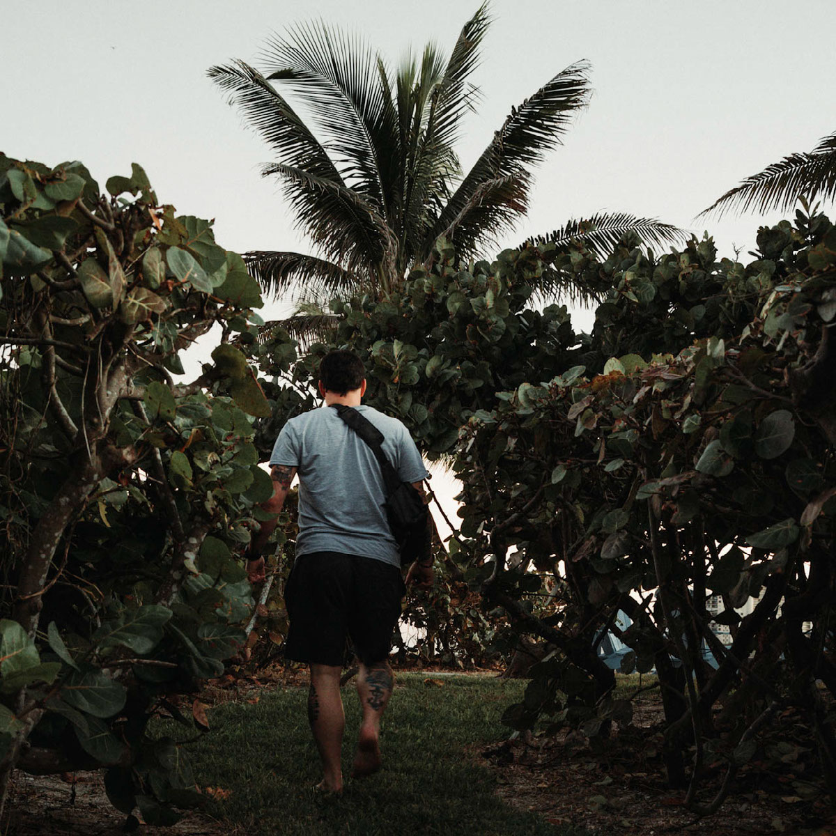 Walk in Paradise | Edit | Photoshop Lightroom