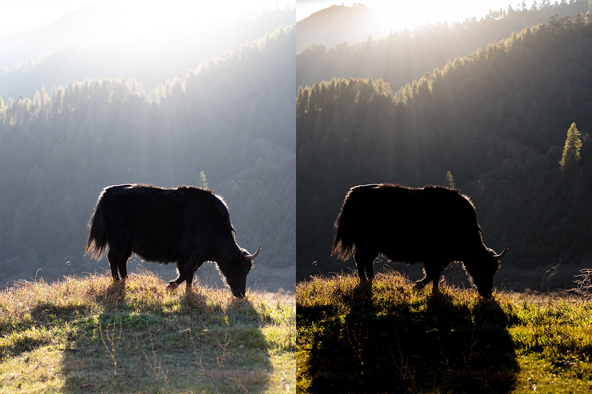 More Powerful Silhouettes | Tutorial | Photoshop Lightroom