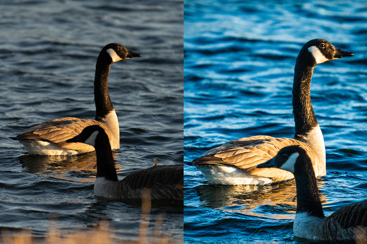 Boost Color and Contrast | Tutorial | Photoshop Lightroom