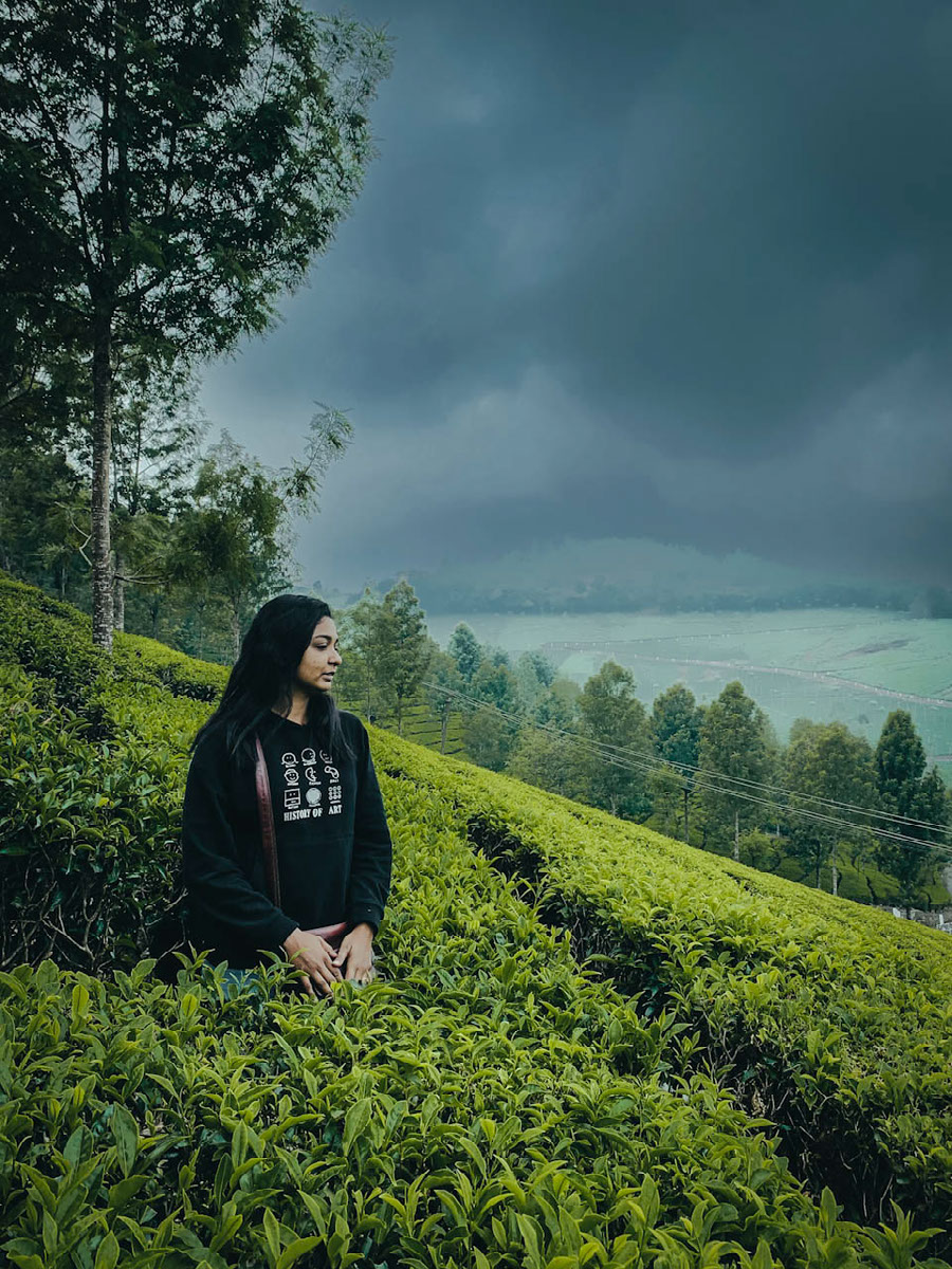 The greenery | Edit | Photoshop Lightroom