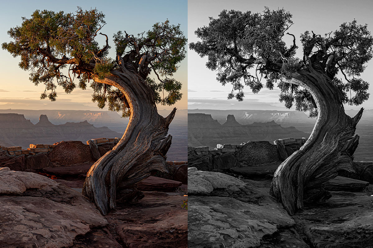 B&W Profiles | Tutorial | Adobe Lightroom