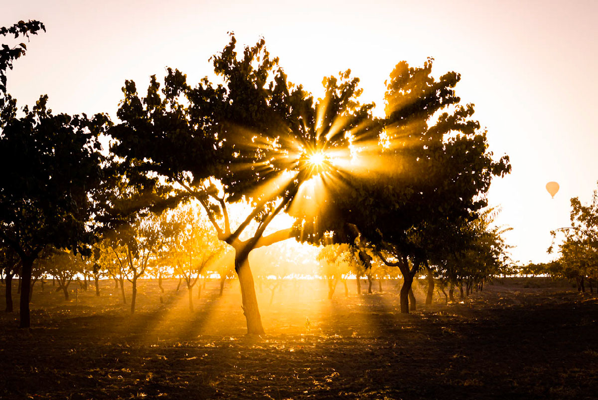 Sunlight Capadoccia | Edit | Photoshop Lightroom