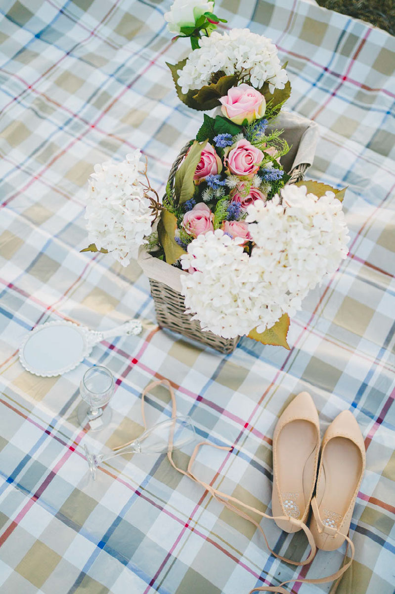 Picnic Setup | Edit | Photoshop Lightroom