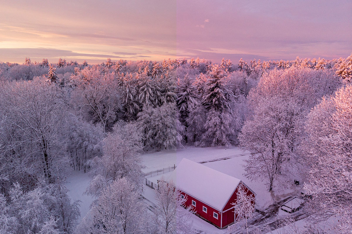 Tint | Tutorial | Adobe Lightroom