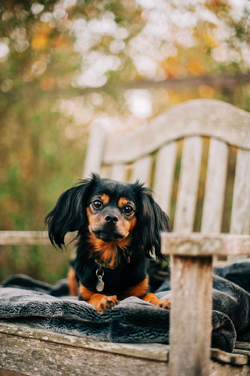 Heal eye goobers with Spot Removal | Edit | Photoshop Lightroom