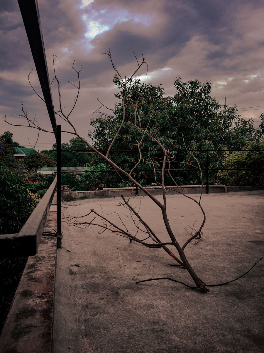 Branch | Edit | Photoshop Lightroom