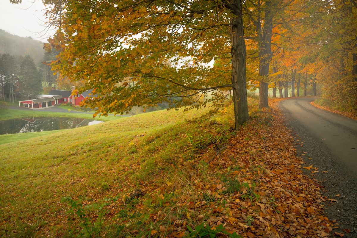 Country Road | Edit | Photoshop Lightroom
