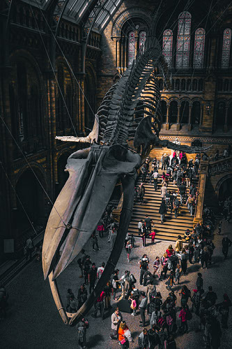 Improve your photography skills | Adobe Lightroom