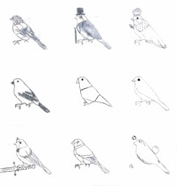 Bird transformations :: Behance