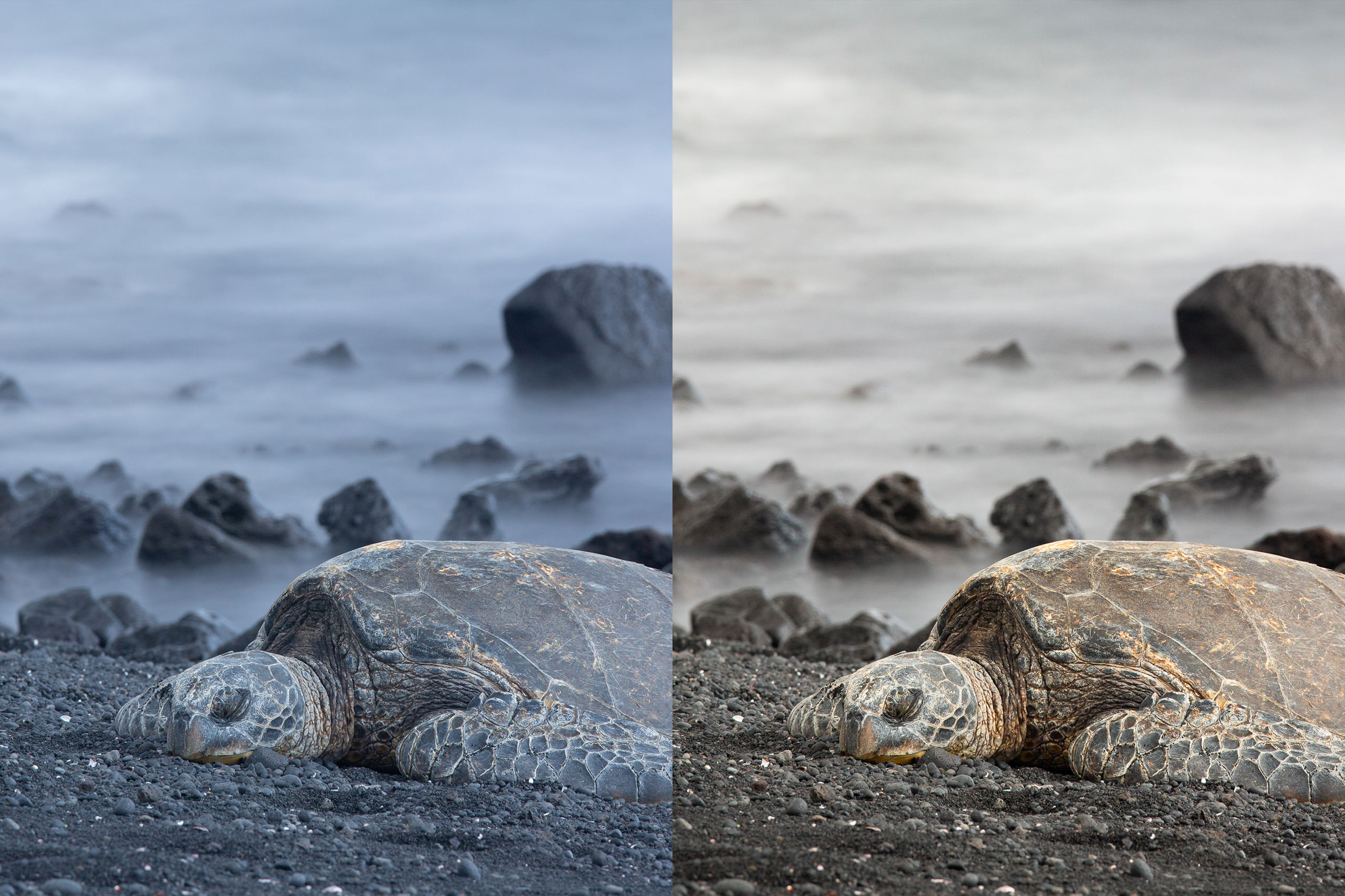 Correcting the Color Balance on a Long Exposure Image | Tutorial ...