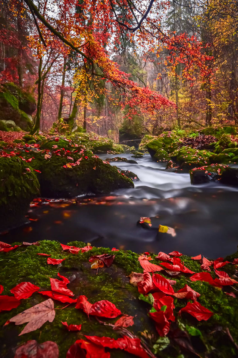 Herbst im Triebtal | Edit | Photoshop Lightroom
