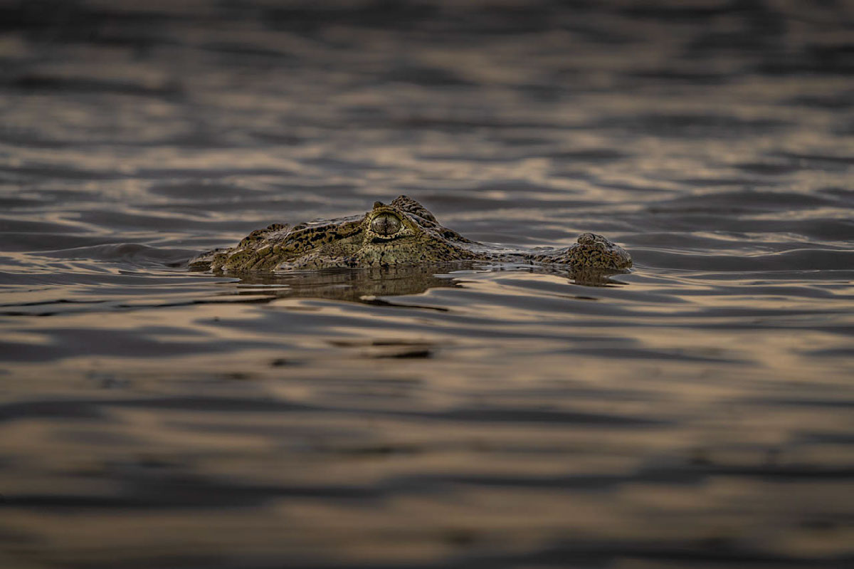 Masks for Nature Photography | Edit | Photoshop Lightroom