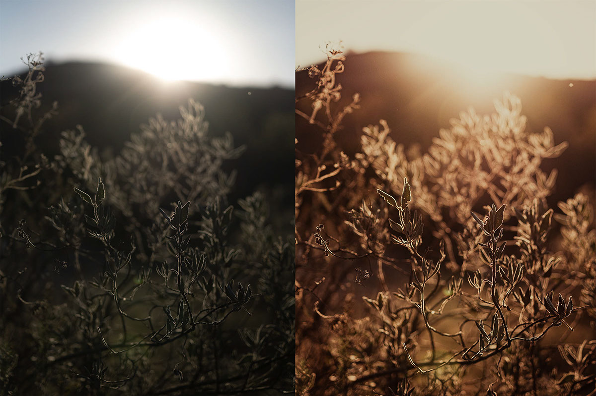 Go from Average to Artwork with Color Grading | Tutorial | Photoshop ...