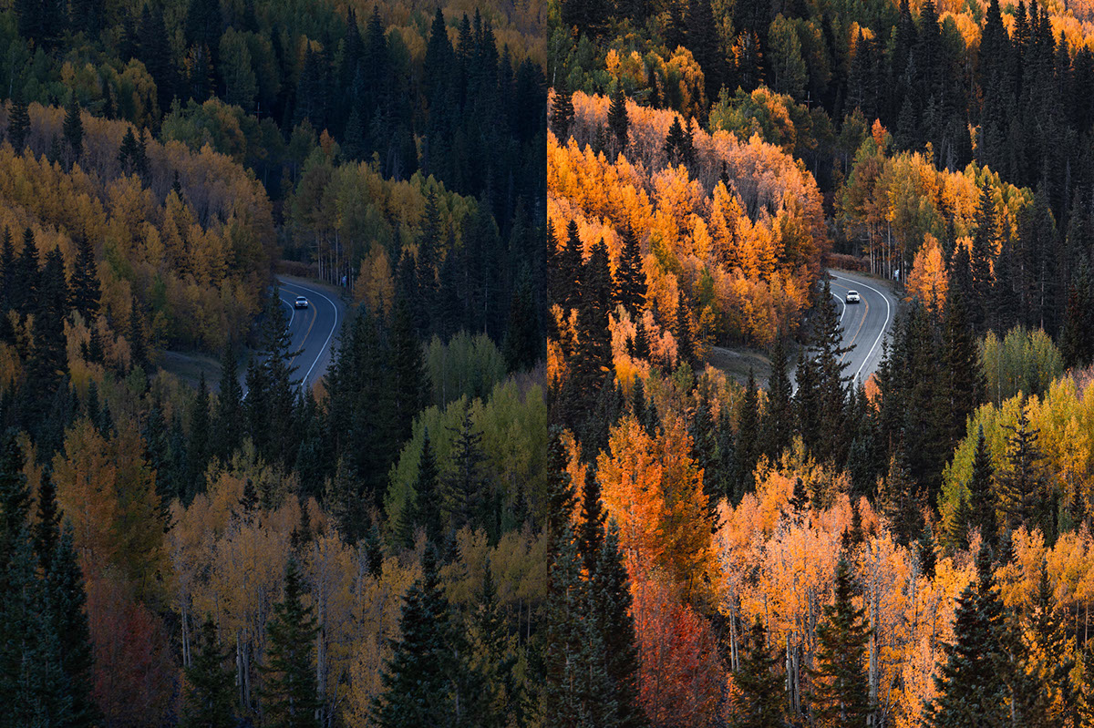 Creative Color in Landscape Photography | Tutorial | Photoshop Lightroom