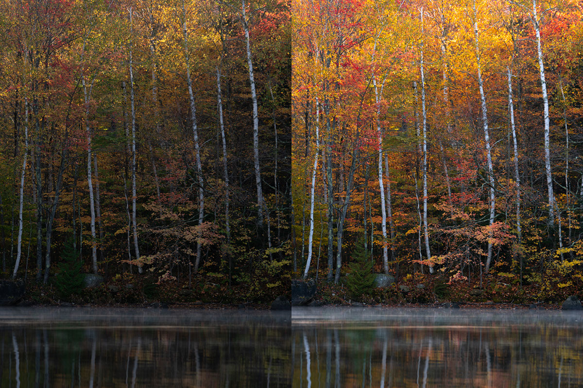 Boosting Fall Colors | Tutorial | Photoshop Lightroom
