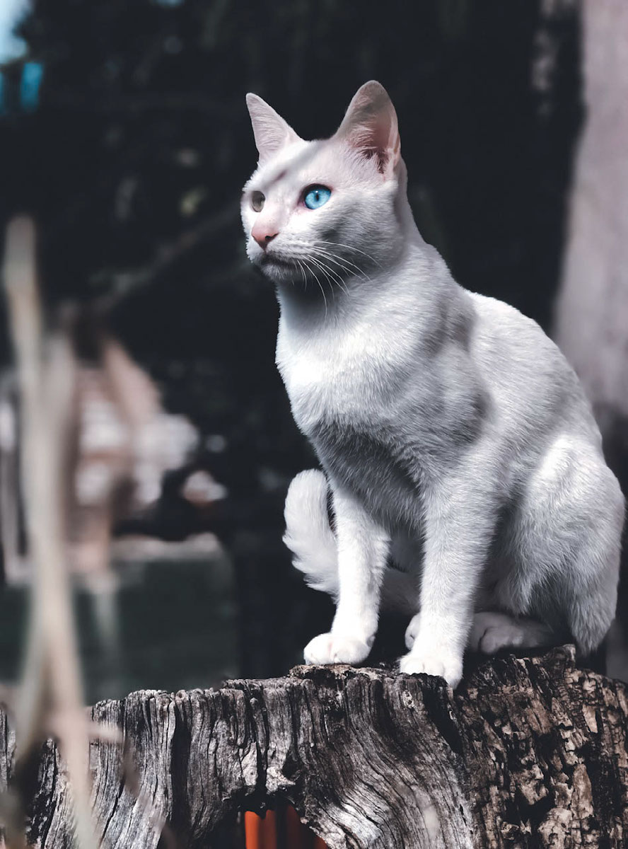 Épsilon | Edit | Photoshop Lightroom