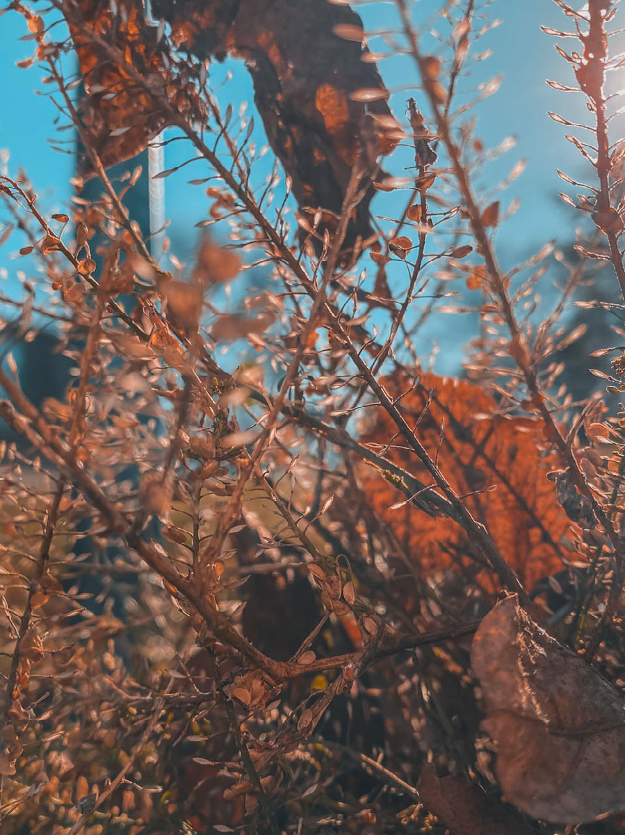 Minimalist | Edit | Photoshop Lightroom