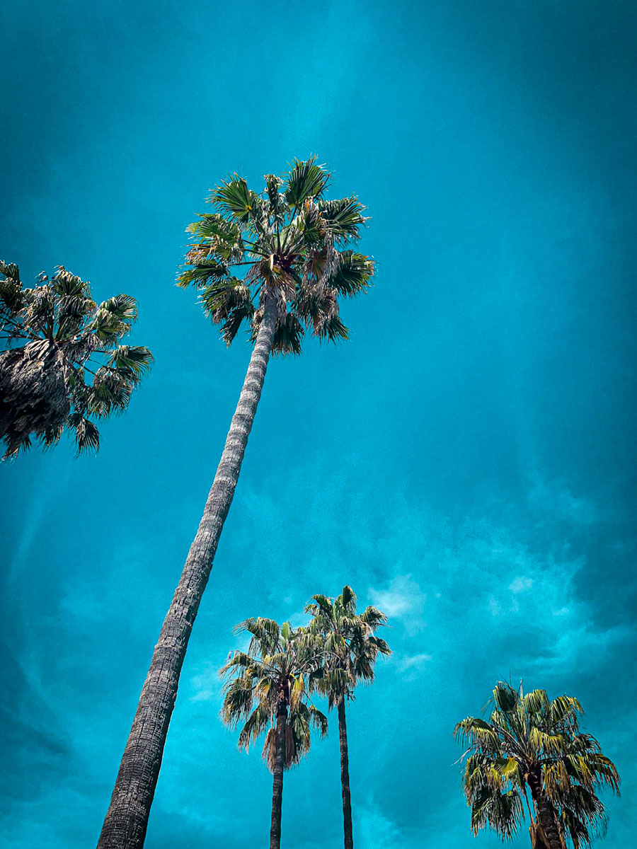 Los Angeles Beach | Edit | Photoshop Lightroom