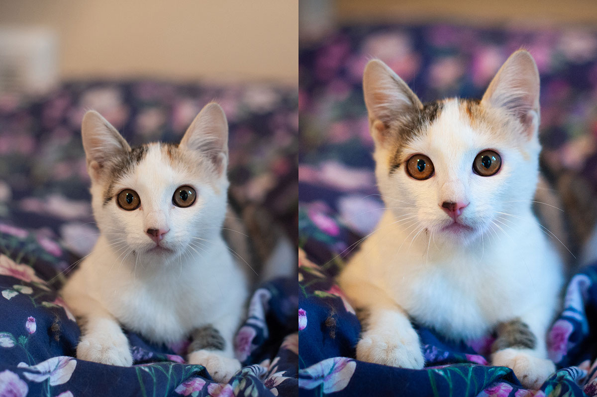 Making the Most of Mixed Lighting | Tutorial | Photoshop Lightroom