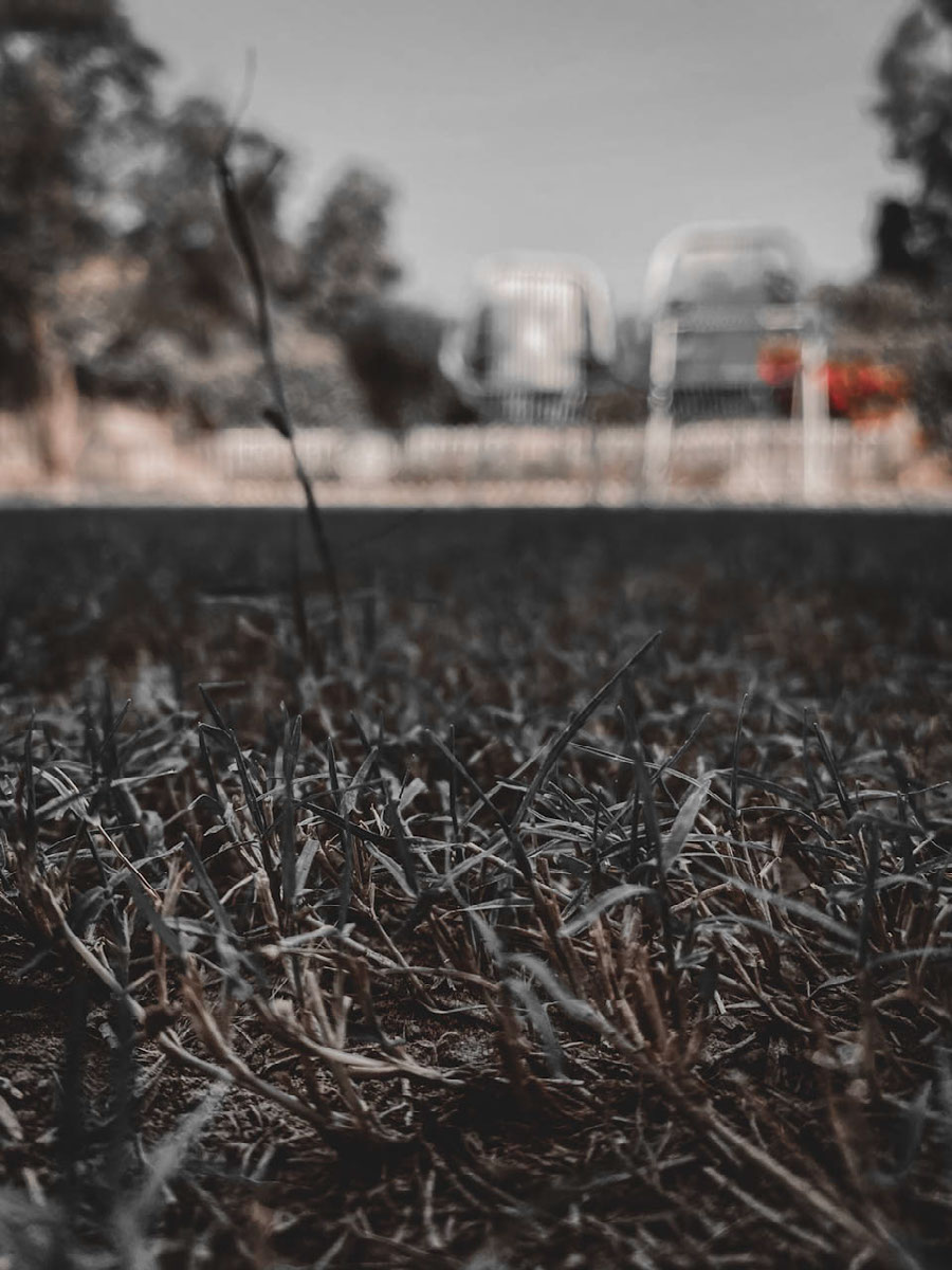 Focus | Edit | Photoshop Lightroom