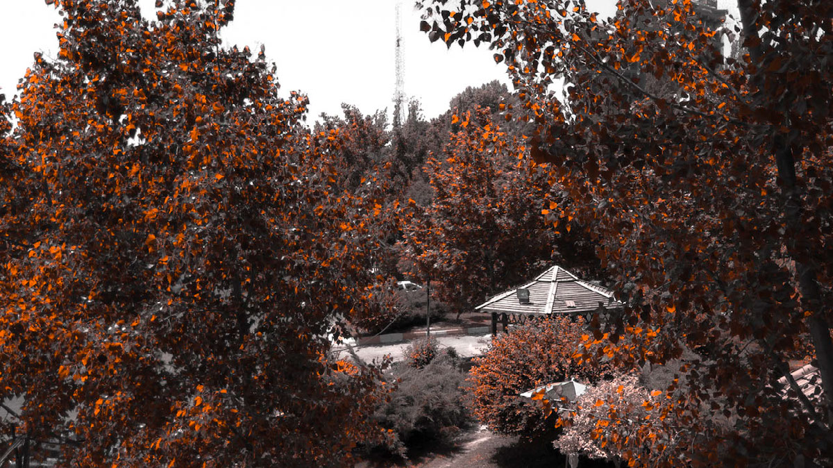 Iran, Tehran | Edit | Photoshop Lightroom