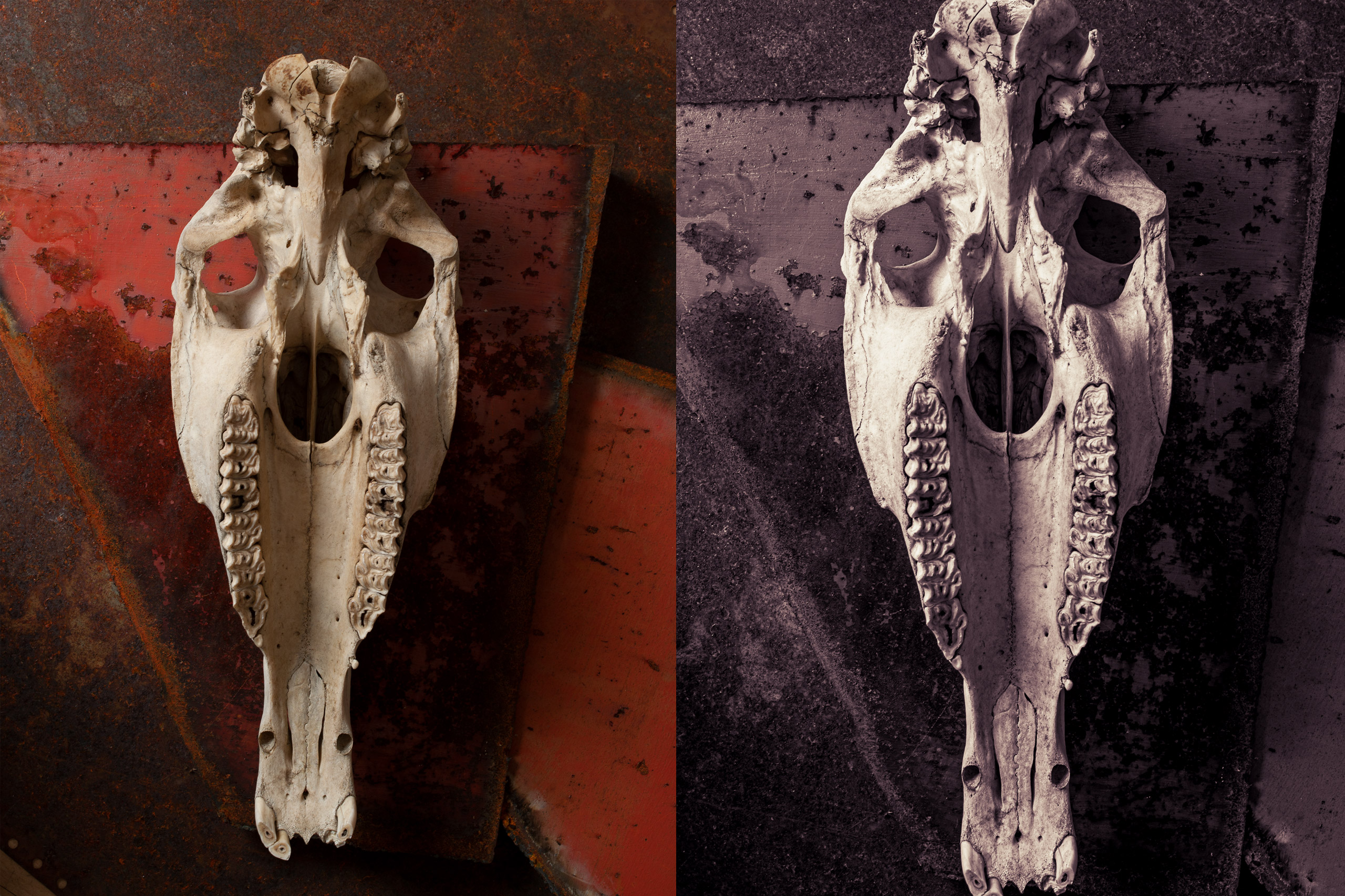 Color Grading a B&W Image | Tutorial | Adobe Lightroom