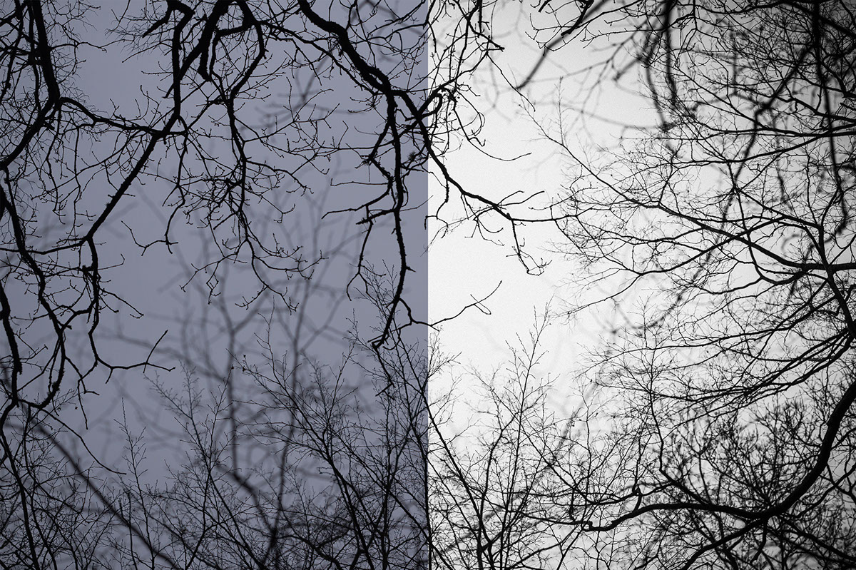 From Dull to Snappy | Tutorial | Photoshop Lightroom