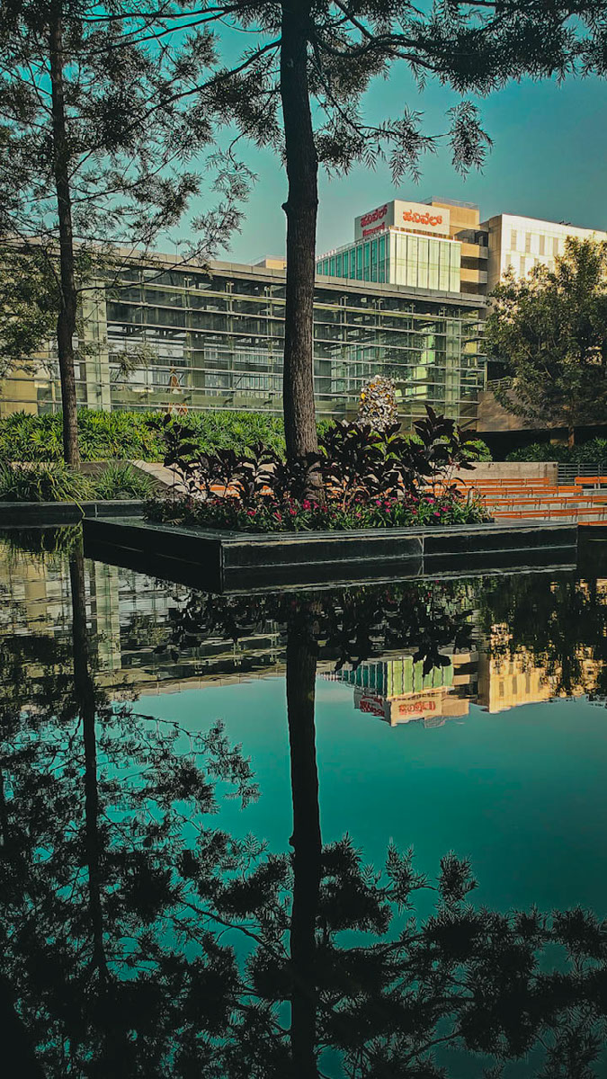 Reflection | Edit | Photoshop Lightroom