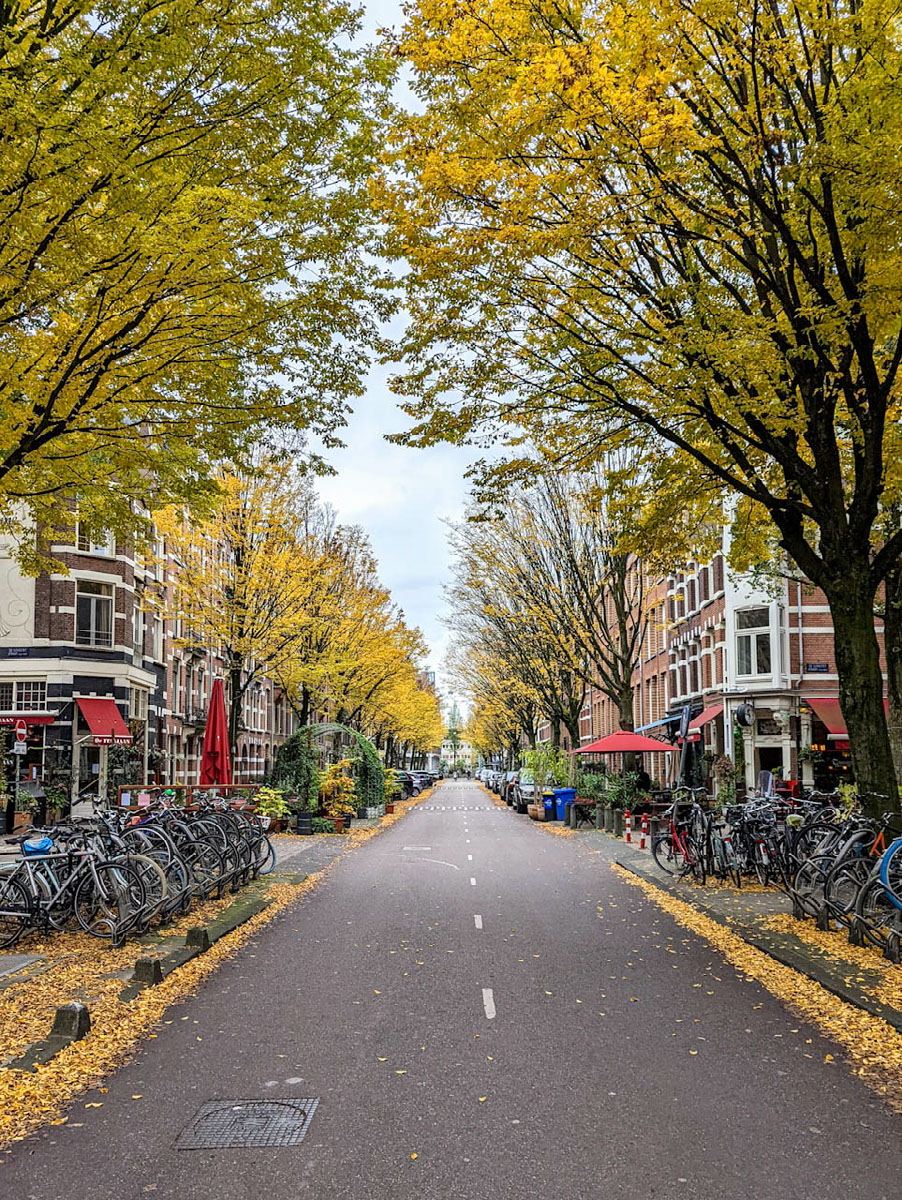 Autumn | Edit | Photoshop Lightroom