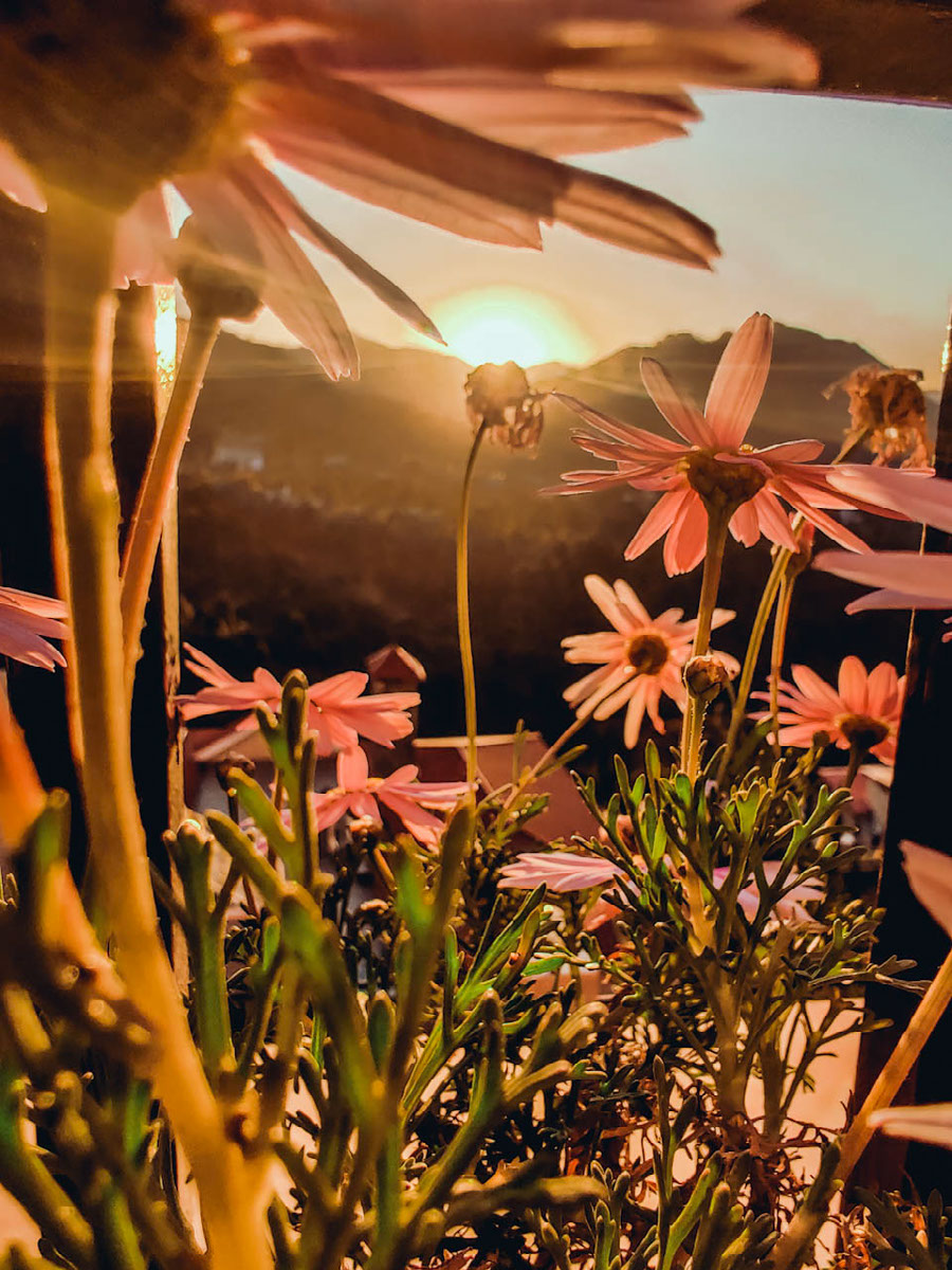 Hope | Edit | Photoshop Lightroom