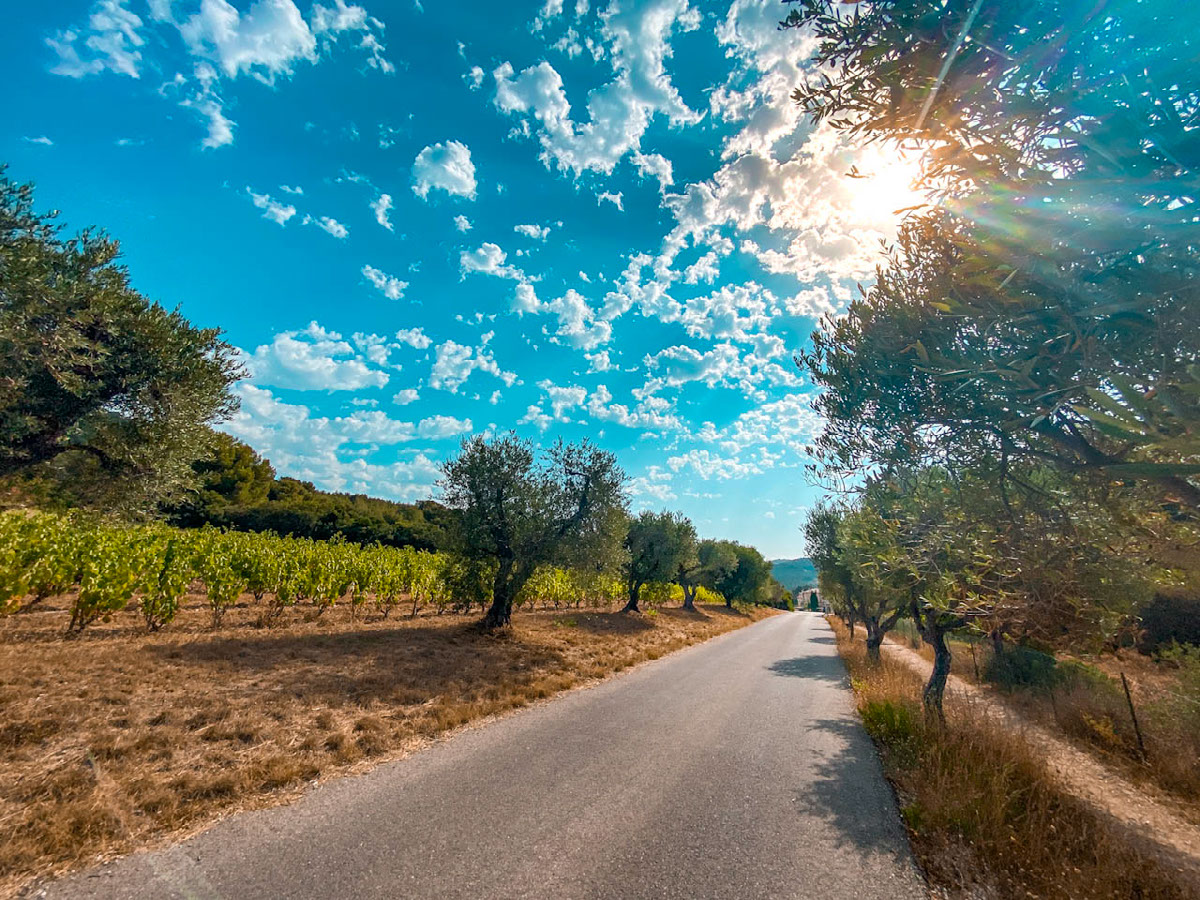 Perspective | Edit | Photoshop Lightroom