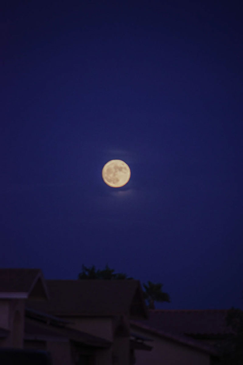 Moonlight | Edit | Photoshop Lightroom