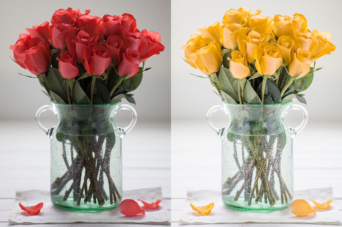 Changing Colors | Tutorial | Adobe Lightroom