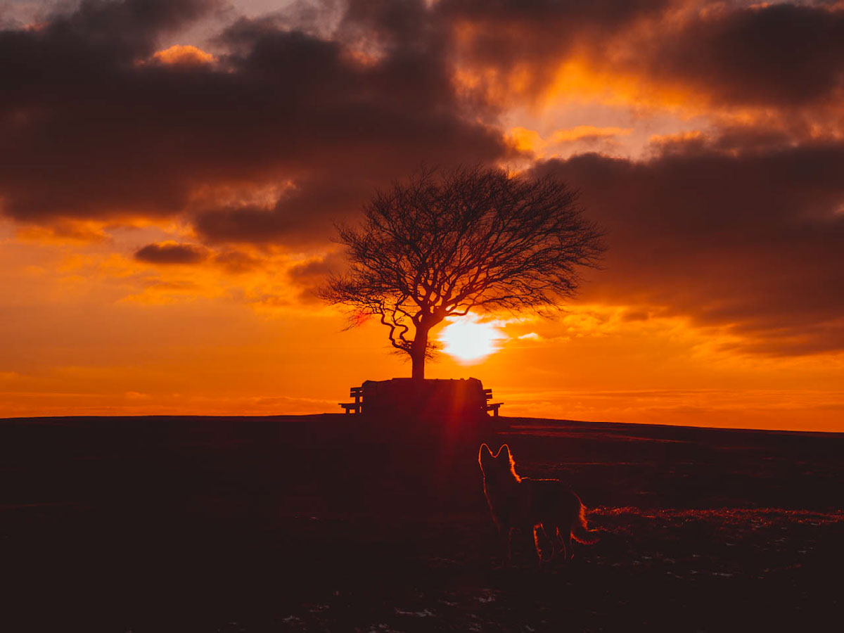 Sunset-Joseph Naszladi | Edit | Photoshop Lightroom