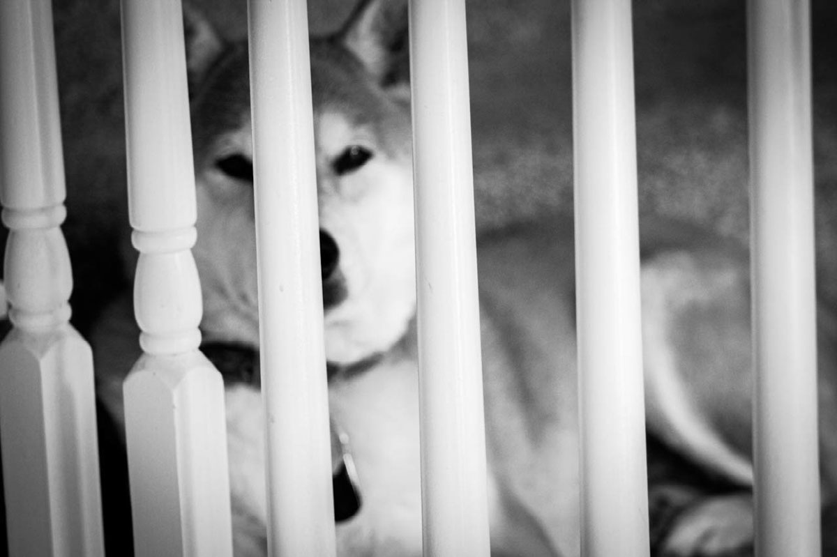 Cairo... | Edit | Photoshop Lightroom