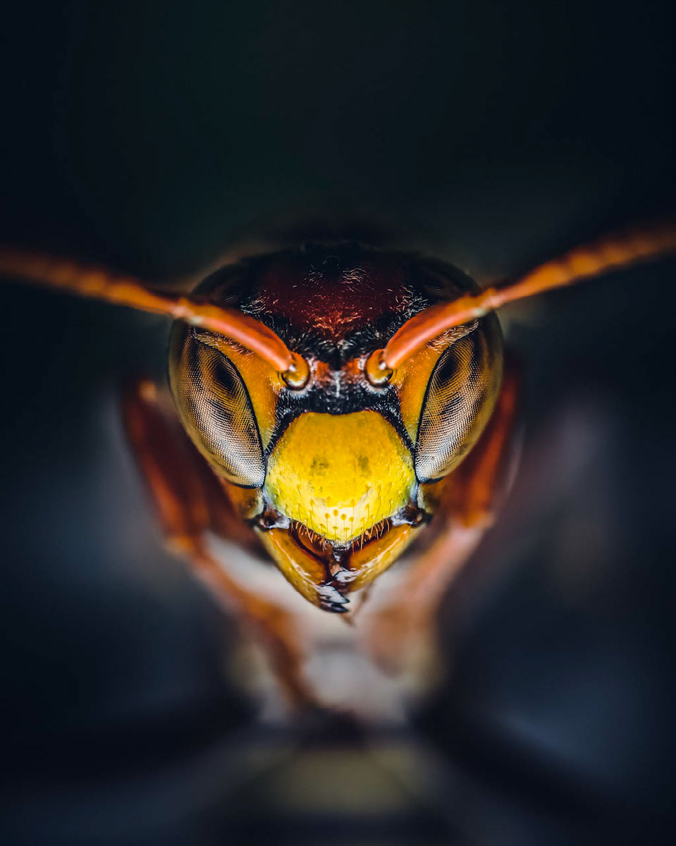 Paper | Edit | Photoshop Lightroom