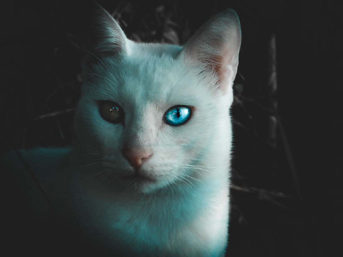 Épsilon | Edit | Photoshop Lightroom