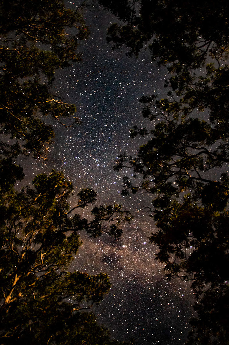 Astral River | Edit | Photoshop Lightroom