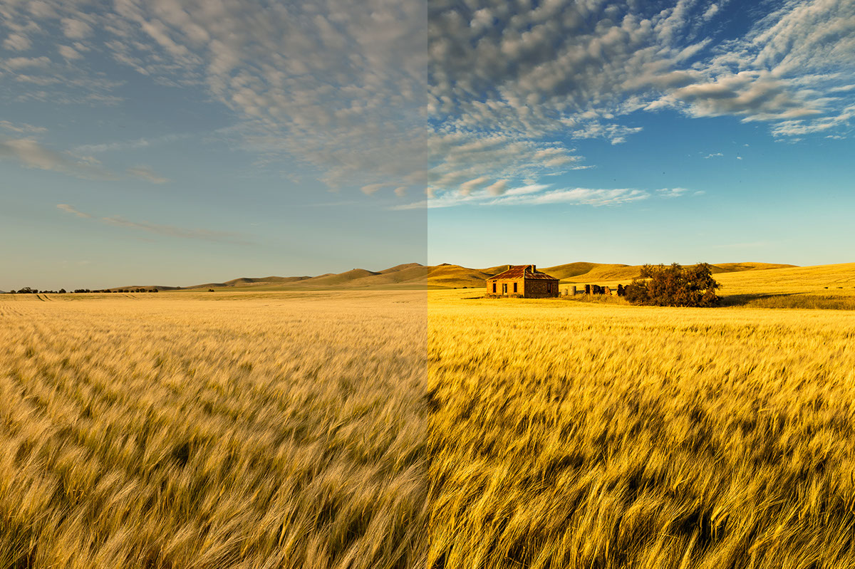 Emphasizing Golden Light | Tutorial | Adobe Lightroom