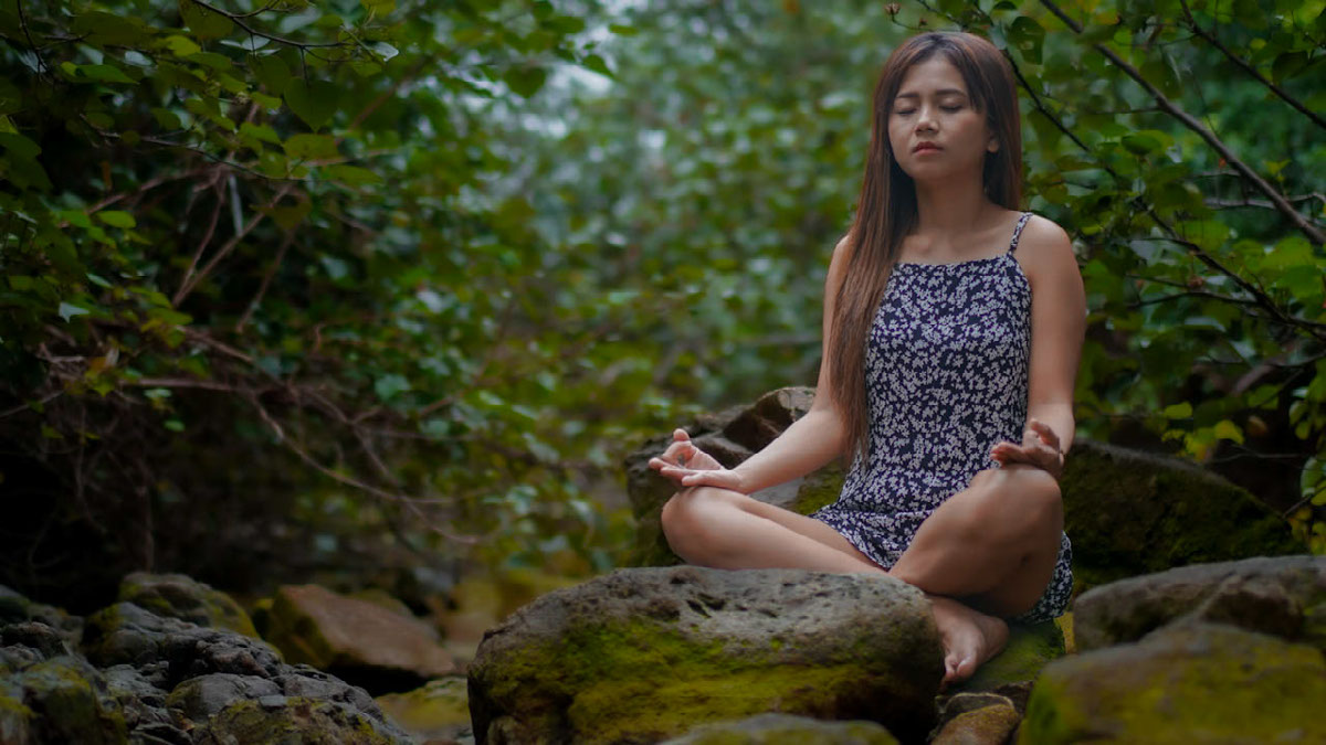 Into the nature | Edit | Photoshop Lightroom
