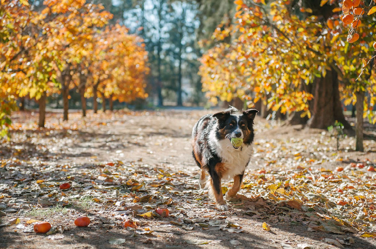 Simple Radial Filter for a backlit scene | Edit | Photoshop Lightroom