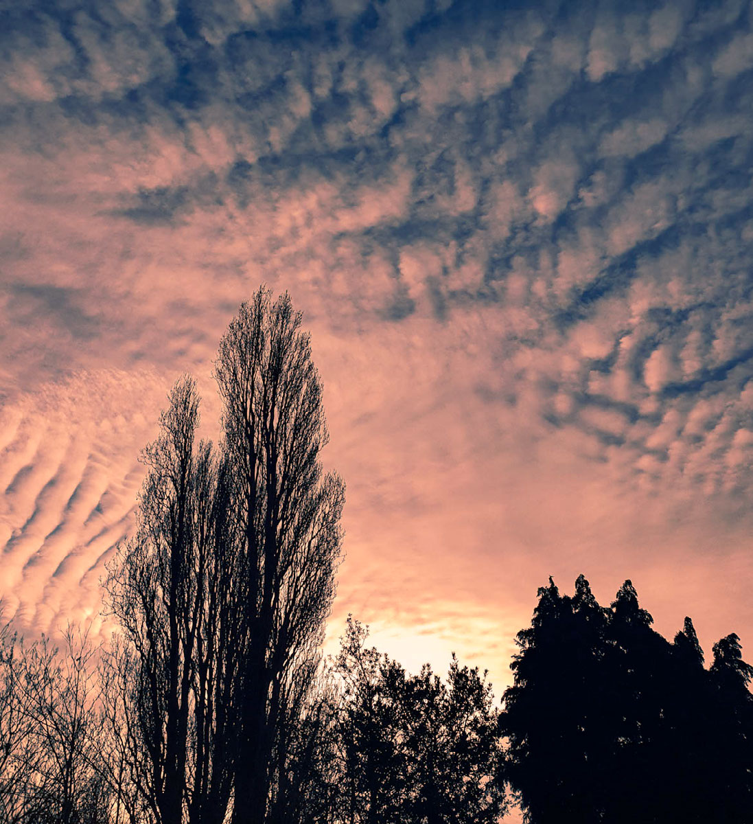 Morning sky | Edit | Photoshop Lightroom