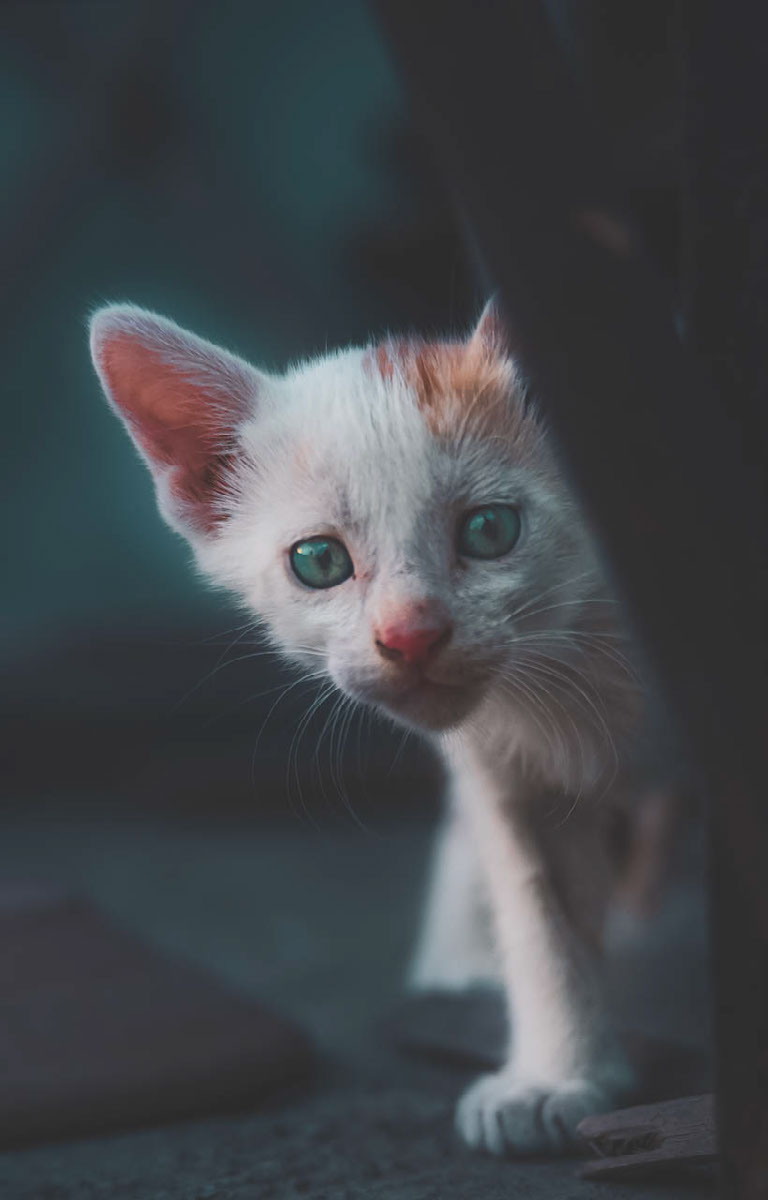 Random Shots | Edit | Photoshop Lightroom