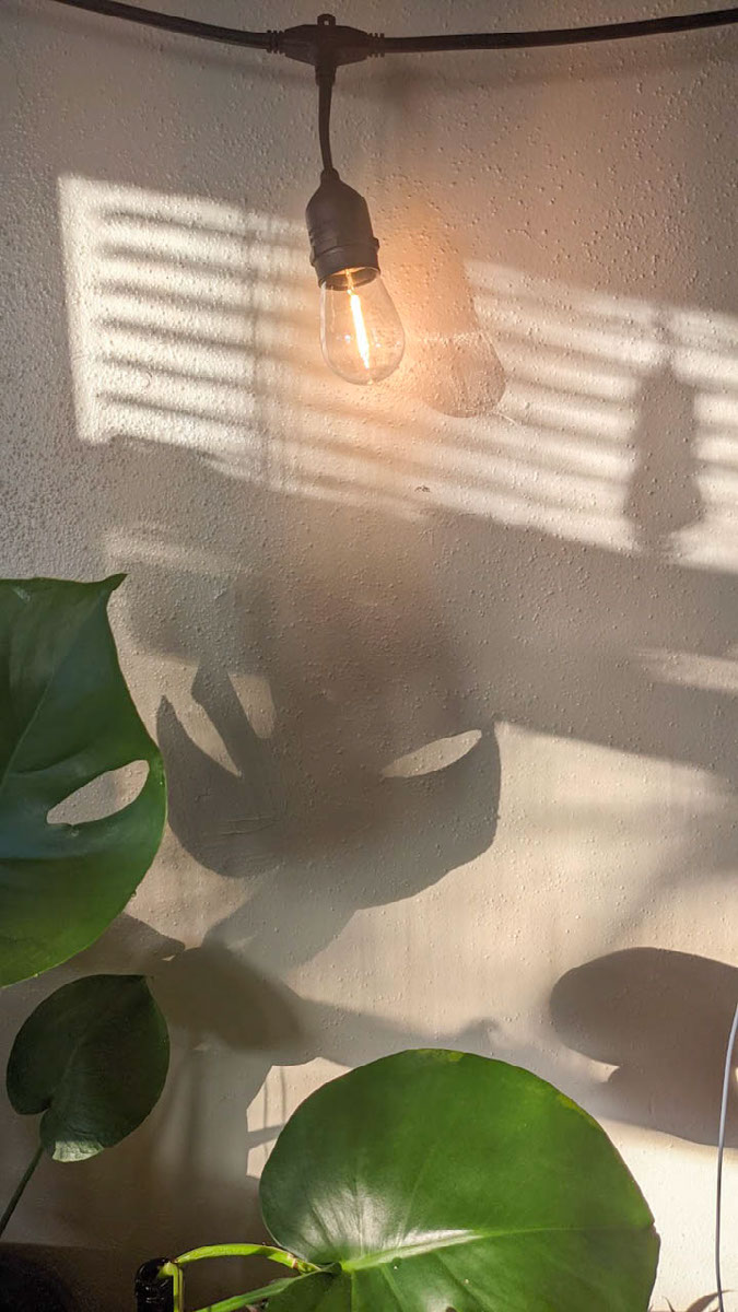 Mild lighting | Edit | Photoshop Lightroom