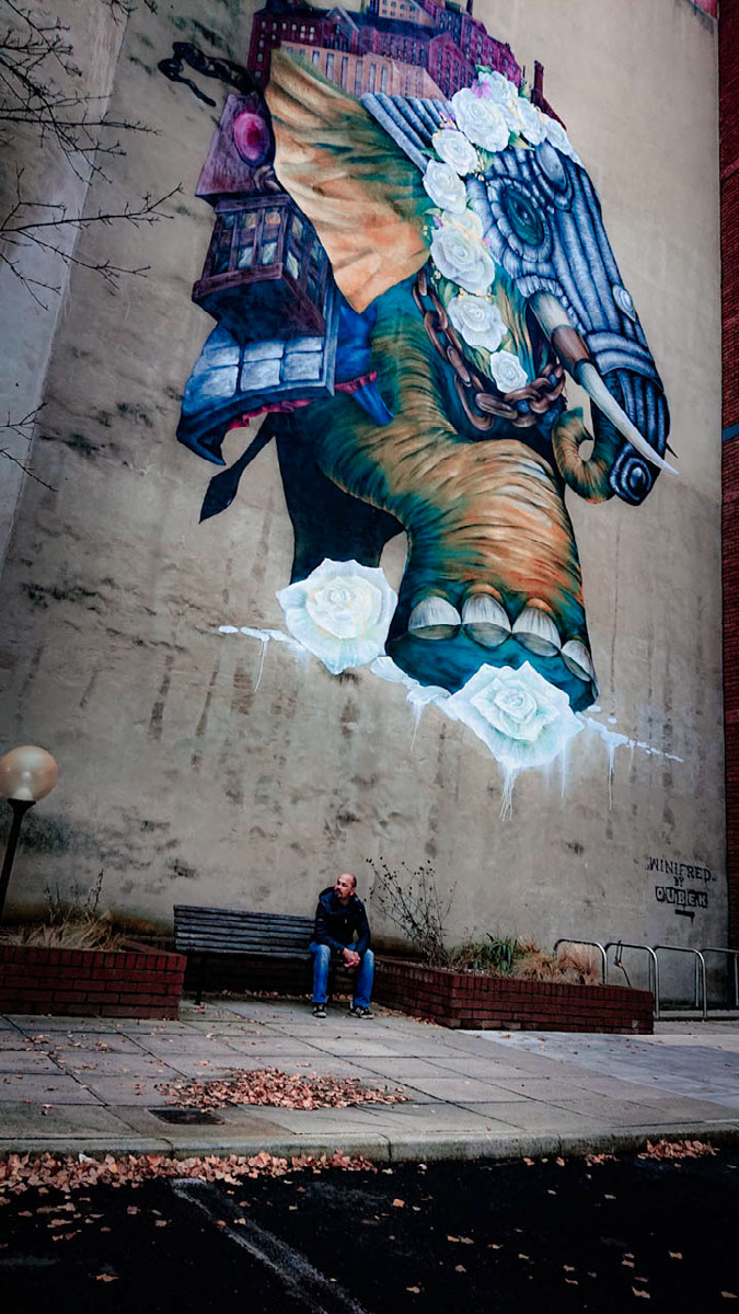 Elephant mural | Edit | Photoshop Lightroom