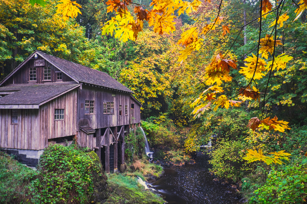 Autumn Scene | Edit | Photoshop Lightroom