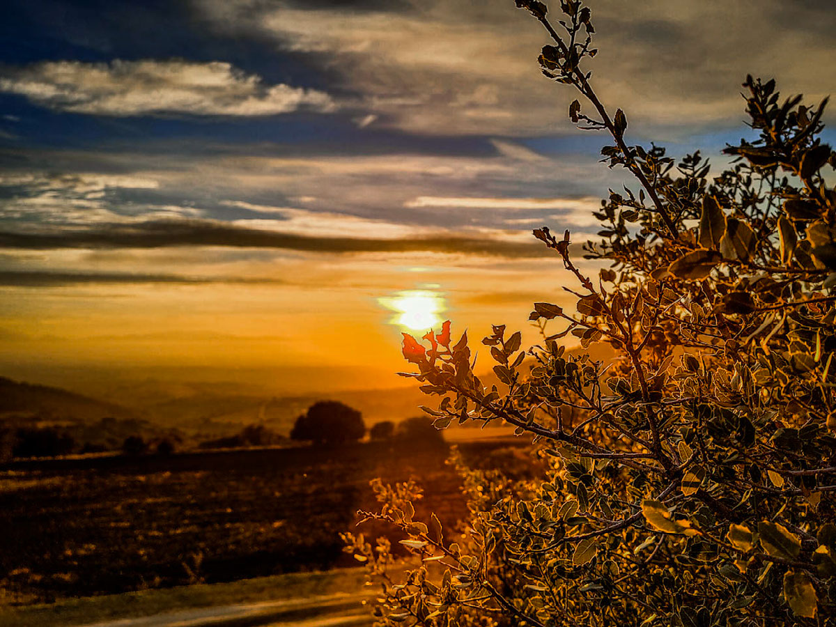 Sunset | Edit | Photoshop Lightroom